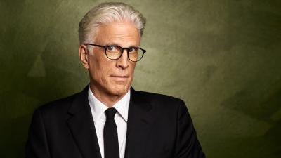 Does Ted Danson Wear a Wig? The Truth Behind the Iconic Hair – Sunber